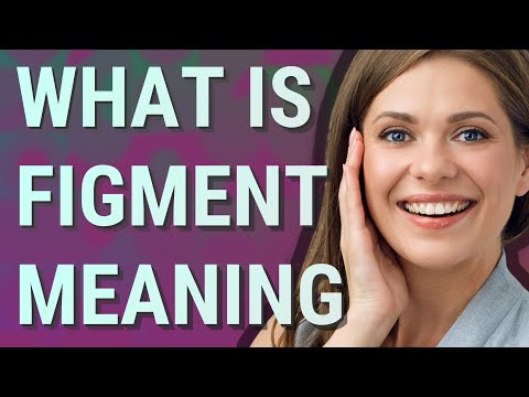 Figment | meaning of Figment