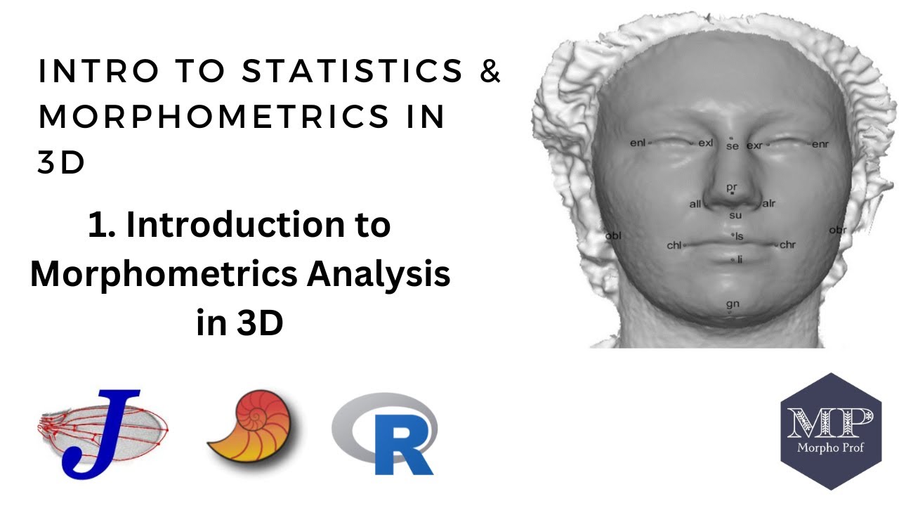 1. Intro to Morphometrics Analysis in 3D