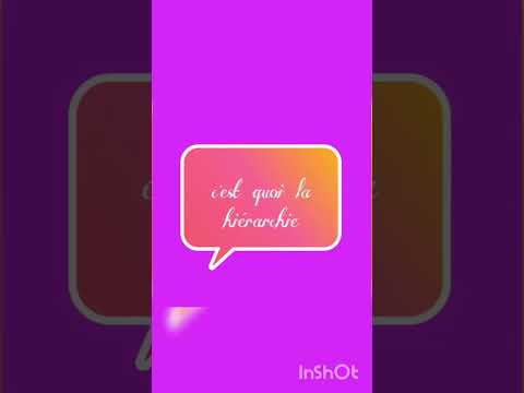 c'est quoi la hiérarchie