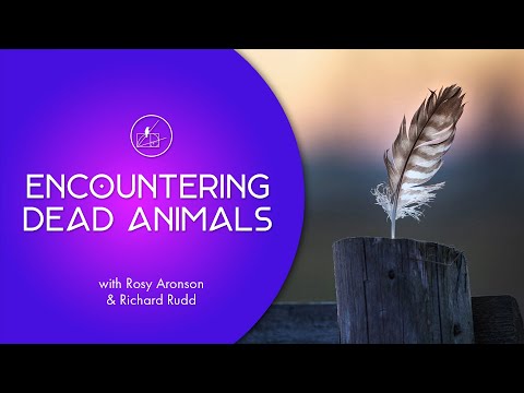 Encountering Dead Animals