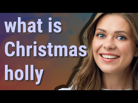 Christmas holly | meaning of Christmas holly