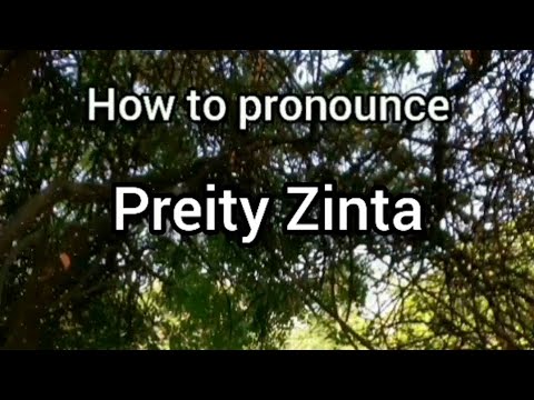 How to Pronounce Preity Zinta