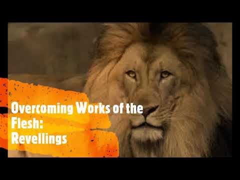 Overcoming Works of the Flesh - Revellings