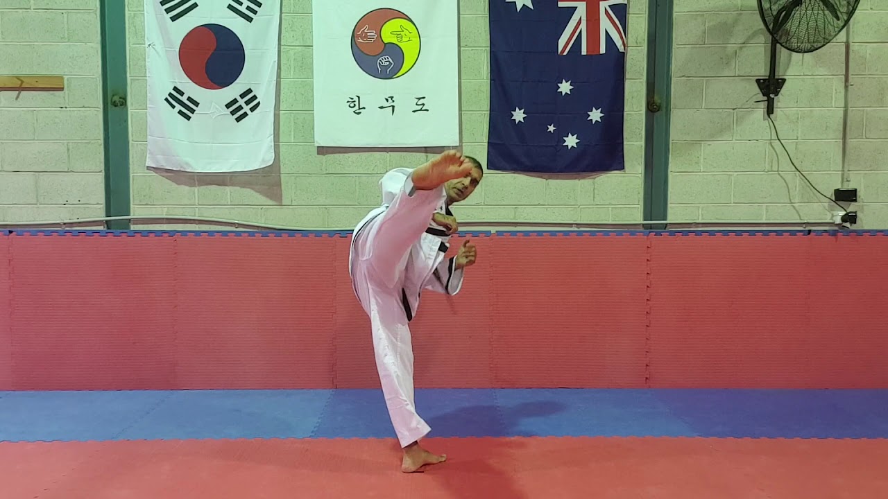 12 Basic Hanmudo kicks