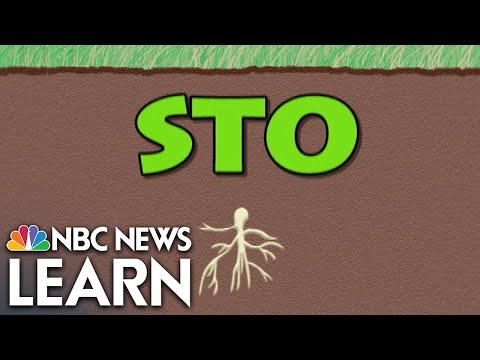Word Roots: Sto