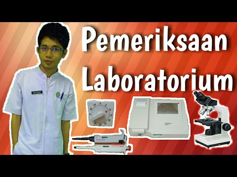 Cara Pemeriksaan Laboratorium tes glukosa kolesterol asam urat Dengan Alat Minday BA-88A