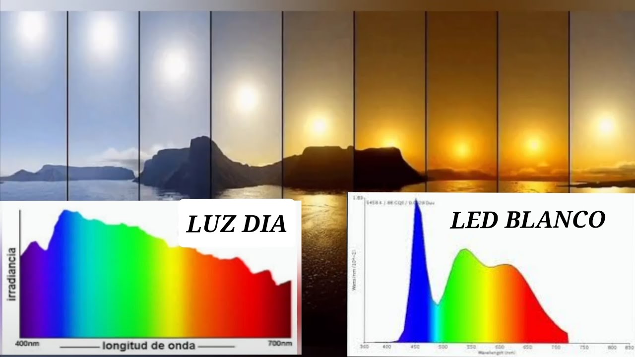 The Hidden Dangers of White LED Lights: How Do They Affect Your Health?