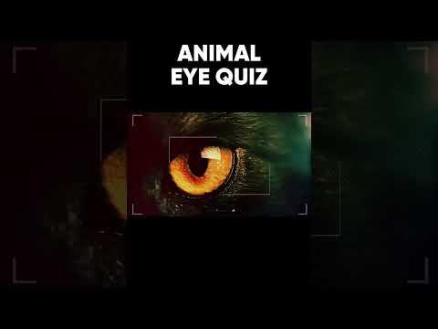 Guess The Animal By Its Eyes #short @quiz @guesstheanimal