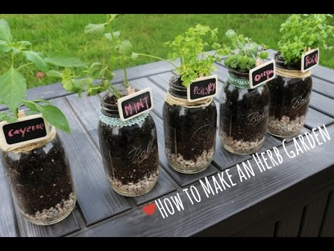 How to: Indoor Herb Garden