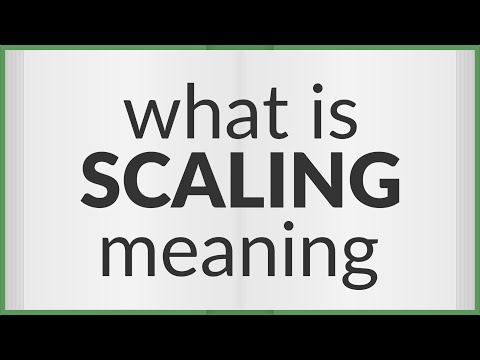 Scaling | meaning of Scaling