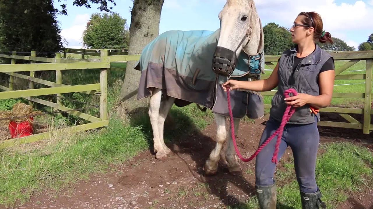 Cheshire Retirement Livery