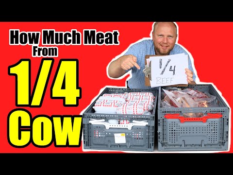 How Much Meat We Got From a 1/4 of a Grass-fed Beef (Quarter Cow)