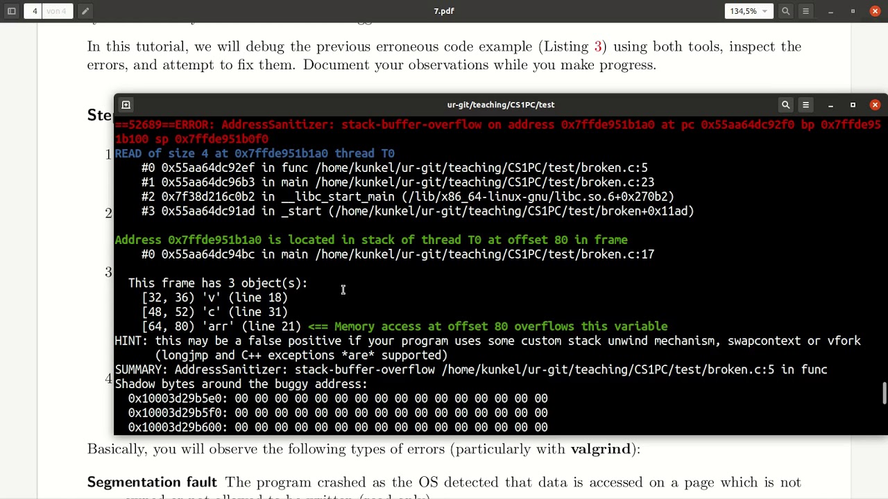 Tutorial Week 7-2: Debugging of Pointer Issues