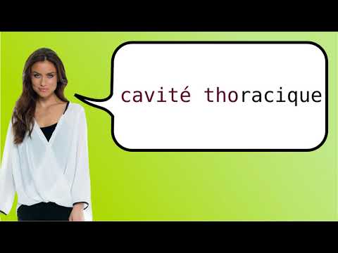 How to say 'thoracic cavity' in French?