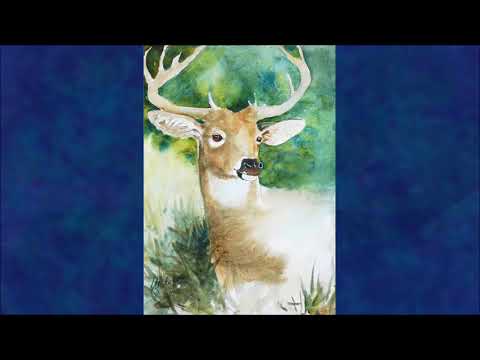 Deer Totem: Spirit Meaning of Deer