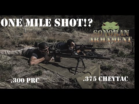 300 PRC 1600 Yards!