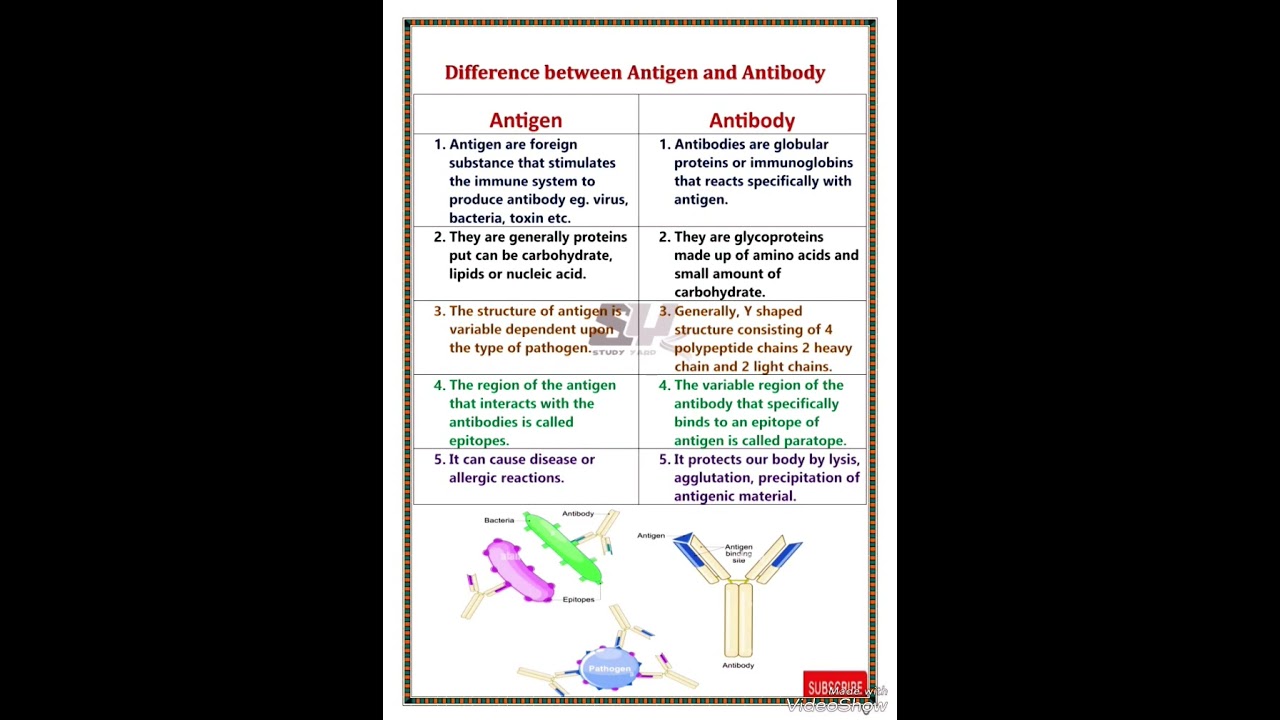 Difference between antigen and antibody l what is  antigen l what is antibody