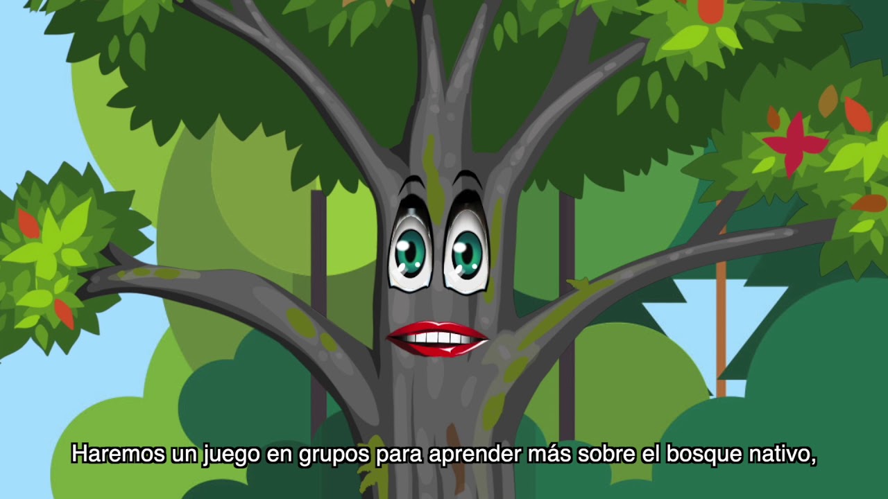 Video Conaf Parte1