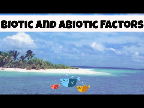 Abiotic and Biotic Factors