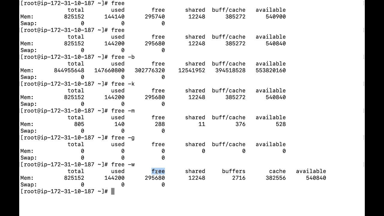 Linux Free Command || Free command A-Z Linux