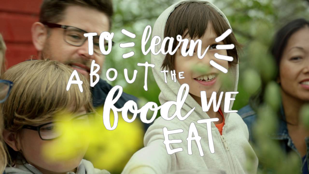 Hellmann's- Where does it come from?