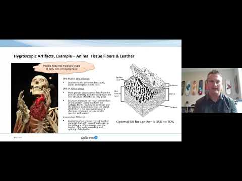 Protecting Artifacts and Patrons with Proper Ambient Moisture Levels in Museums