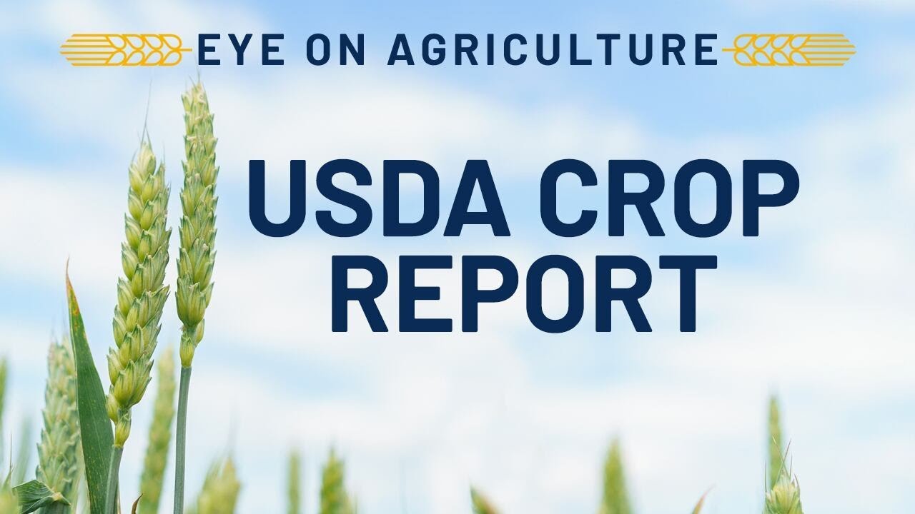 USDA Crop Report