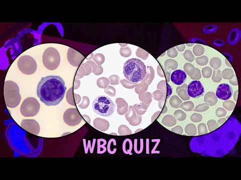 White Blood Cells Identification | Quiz