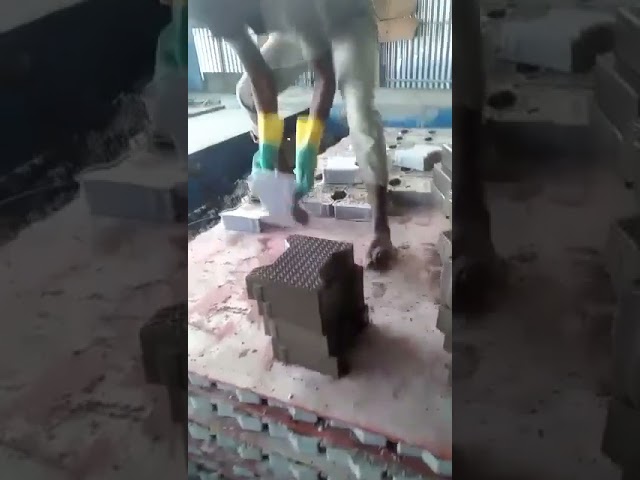 Paver Block Demolding Machine Manufacturer from Noida