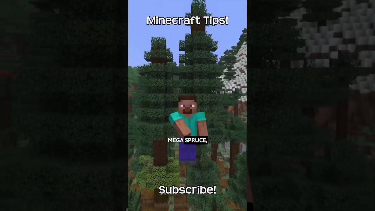 What Is The Command To Find An Old Growth Spruce Taiga In Minecraft?!