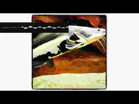 Sociomusicology Strathspey Polyphony anyifopedl