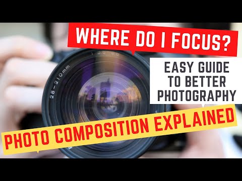 What Are The Rules Of Composition? Where to Focus My Camera?