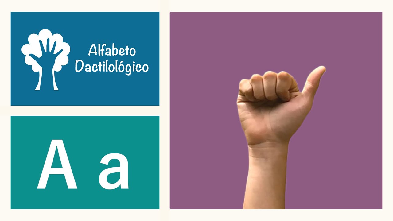 El Alfabeto Dactilológico - Información del Curso de LSM - Abecedario en LSM