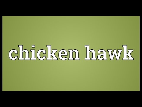 Chicken hawk Meaning