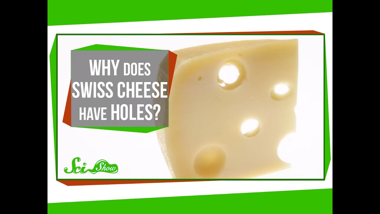 Why Does Swiss Cheese Have Holes?
