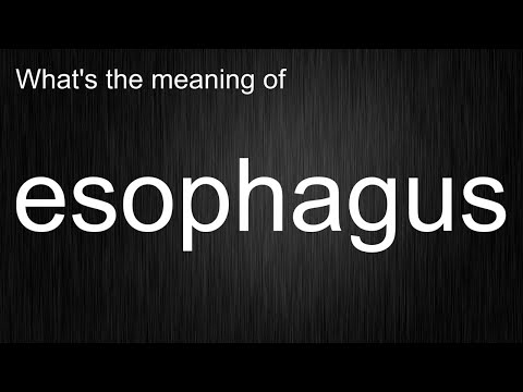 What's the meaning of "esophagus", How to pronounce esophagus?