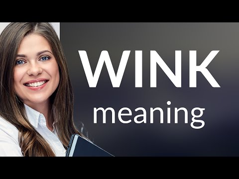 Wink | WINK definition