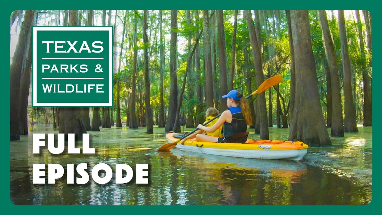 PBS Show - Caddo Lake State Park & More