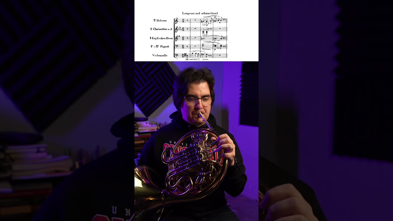 The chord that changed music theory forever #frenchhorn #opera #classicalmusic