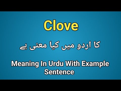 Clove meaning in urdu/hindi |clove k kya matlab hai|clove in sentence | How to pronounce clove