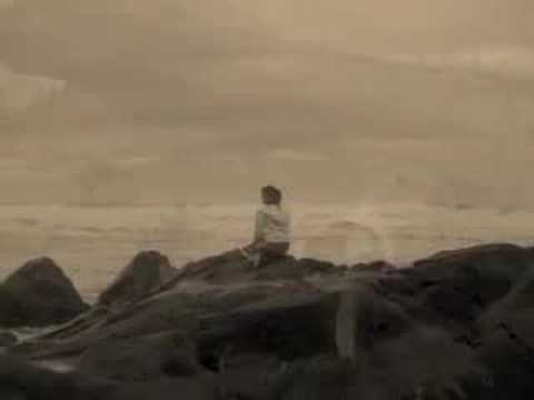 Go Twilight in LaPush on 1st Beach on Quileute Reservation