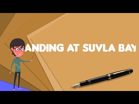 What is Landing at Suvla Bay?, Explain Landing at Suvla Bay, Define Landing at Suvla Bay