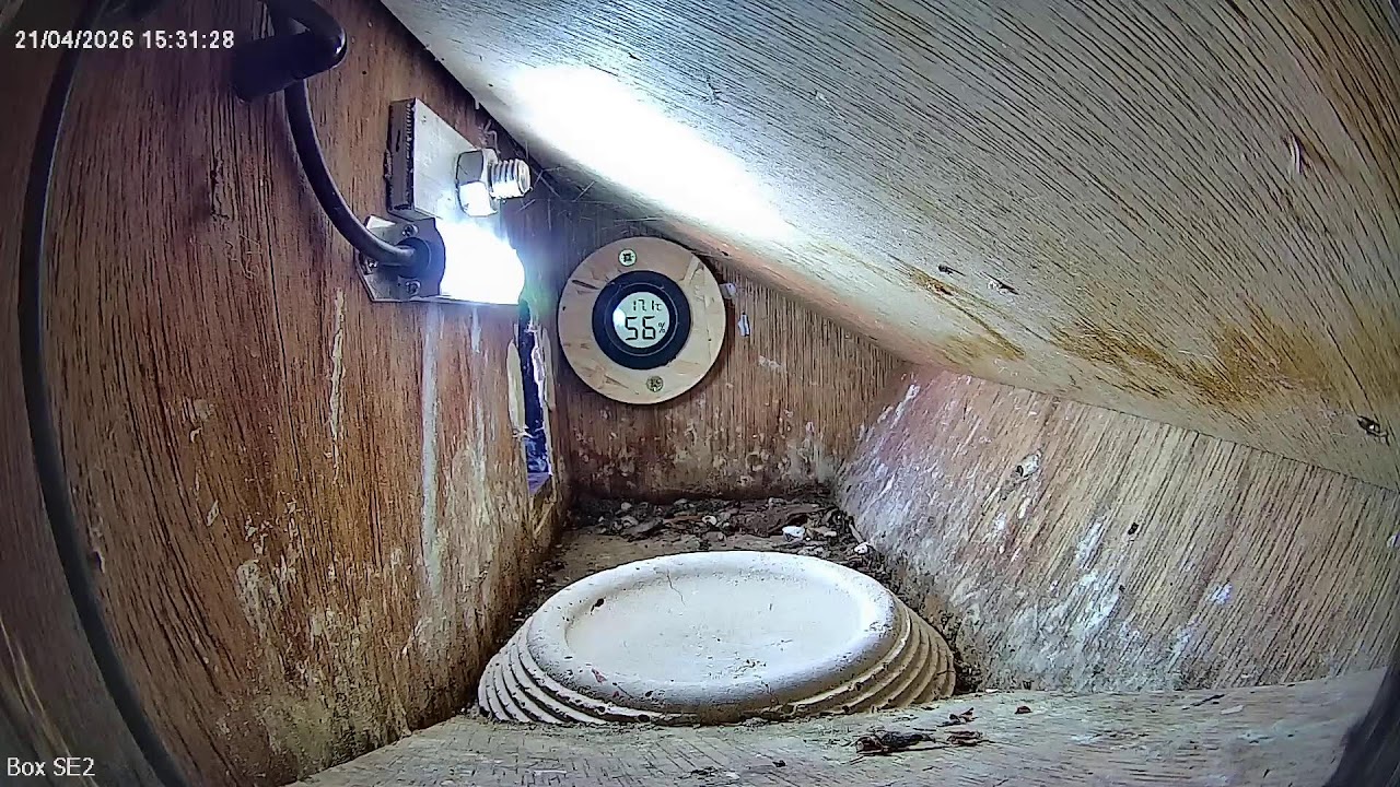 Swift Box Livestream Box SE 2