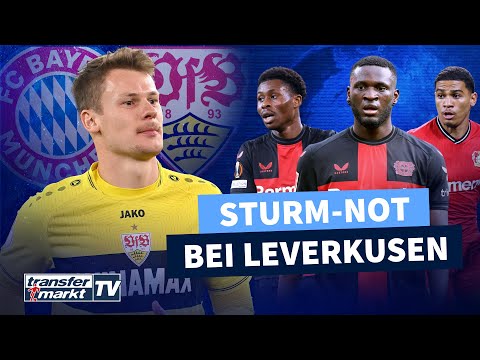Nübel ohne Zukunft beim VfB Stuttgart – Leverkusen sucht Stürmer im Winter | TRANSFERMARKT