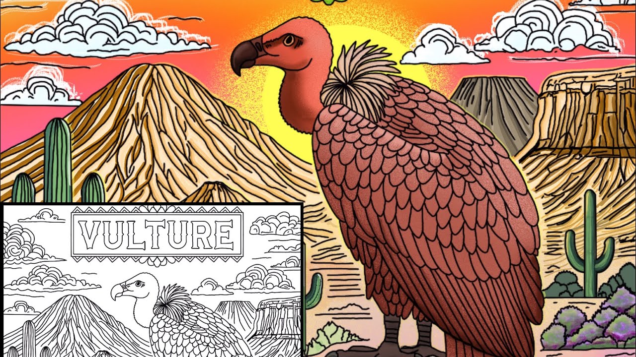 Vulture coloring page for adults