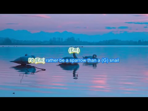 El Condor Pasa by Simon and Garfunkel play along with scrolling guitar chords and lyrics