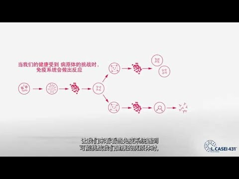 Immune-animation-1920x1080_CHINA_subs.mp4
