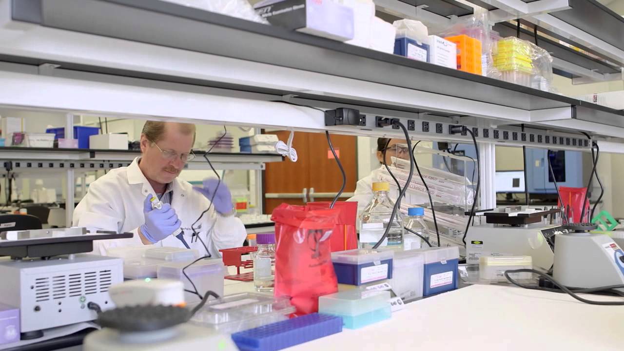 What’s Your System for Cell-Based Assay Method Selection?