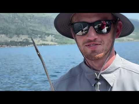 Effortless Fish Filleting with LURSKY Electric Knife
