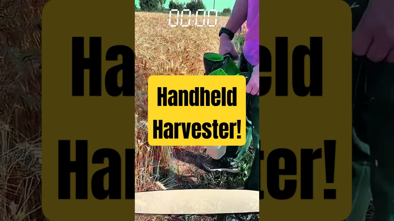 Portable Grain Harvester – Easy and Precise Wheat Cutting by Hand